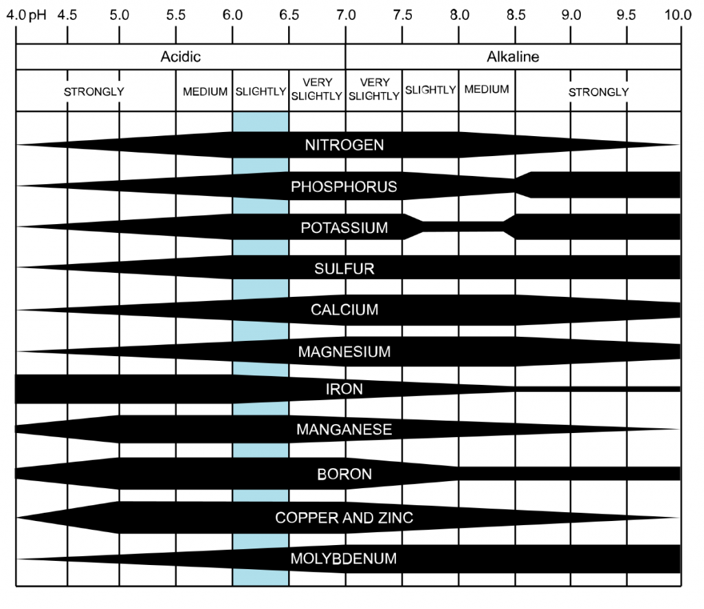 From Dirt to Soil: 7 Ways to Improve Soil Quality